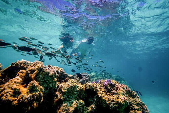 LUXURY Private Catamaran: BORA BORA Full-Day Sailing, Snorkeling - Wrapping It Up
