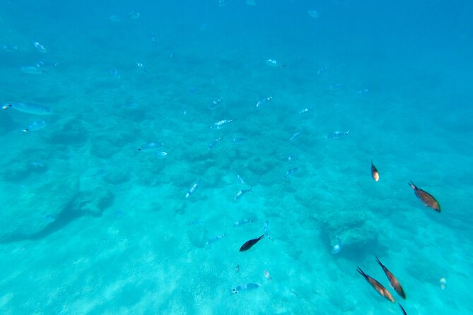 Luxury Private Cruise to Anthony Quinn Bay, Ladiko & Kallithea - Pricing and Cancellation Policy