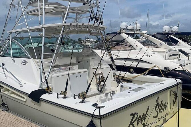 Luxury Private Fishing Charters - FULL DAY CHARTER - The Itinerary & Highlights