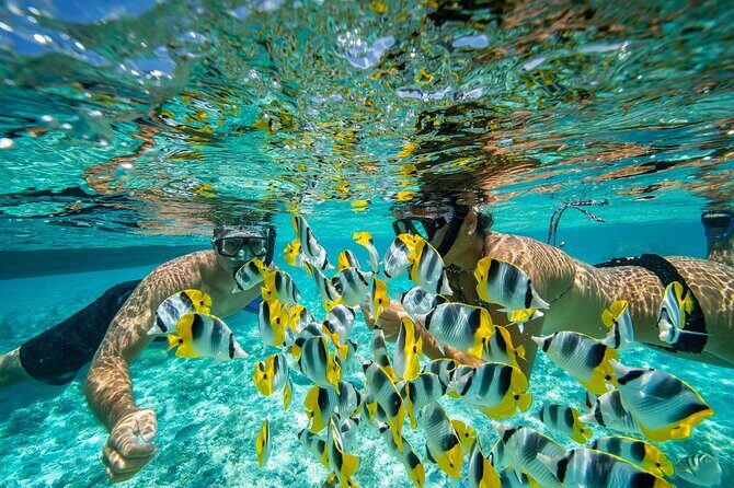 Luxury Private full day tour with Lunch on Board - Who Should Consider This Tour?