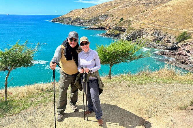 Luxury Private Guided Crater Rim Walk on Banks Peninsula - The Value of This Experience
