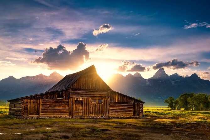 Luxury Private Half-Day Grand Teton National Park Tour - Tour Highlights and Feedback