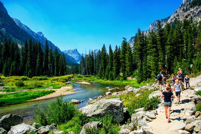 Luxury Private Half-Day Grand Teton National Park Tour - Exceptional Guides