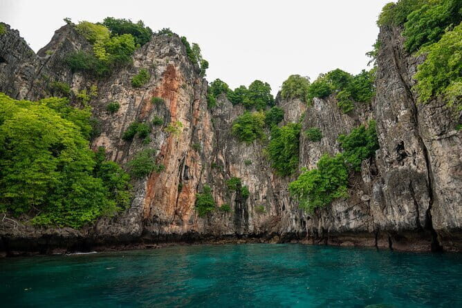 Luxury Private Speed Boat Charter with Coral Delight - An Overview of What to Expect