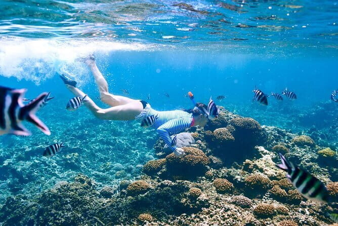 Luxury Private Speed Boat Charter with Coral Delight - Possible Drawbacks or Considerations
