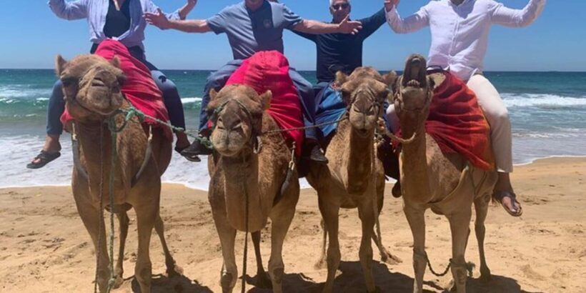 Luxury Private Tangier Tour from Cadiz all inclusive - The Sum Up