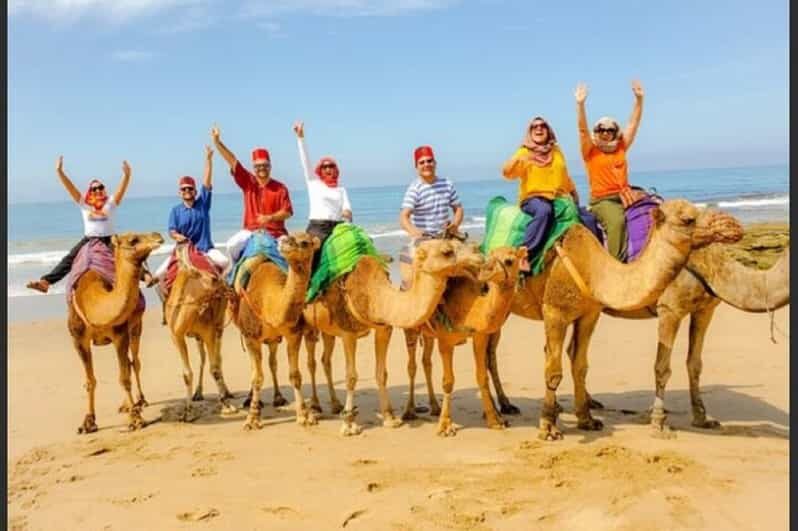 Luxury Private Tangier Tour from Estepona all inclusive - Who Should Consider This Tour?