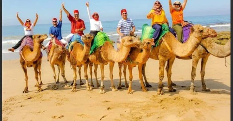 Luxury Private Tangier Tour from Malaga all inclusive - Authentic Experiences & Practical Details