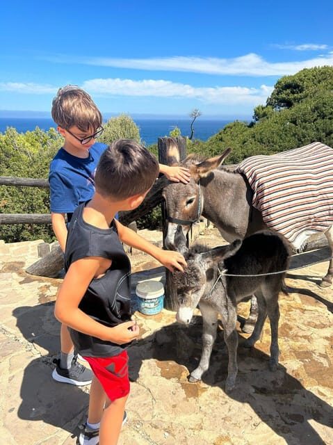 Luxury Private Tangier Tour from Marbella all inclusive - Final Thoughts