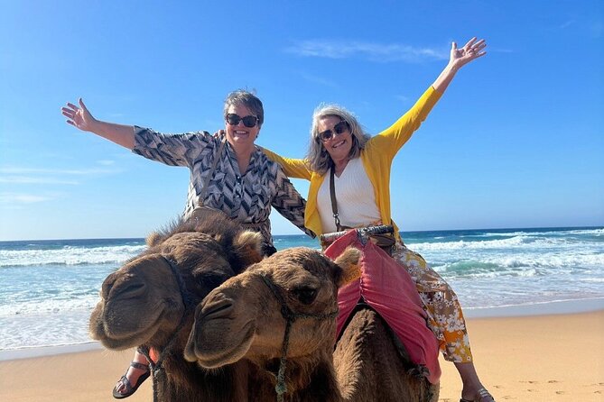 Luxury Private Tour of Tangier From Malaga All Inclusive - Highlights and Recommendations