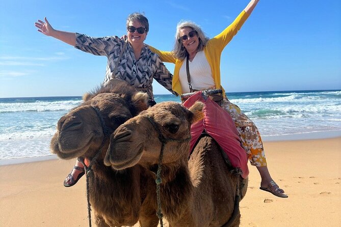 Luxury Private Tour of Tangier From Marbella All Inclusive - Historical Neighborhoods and Cultural Insights