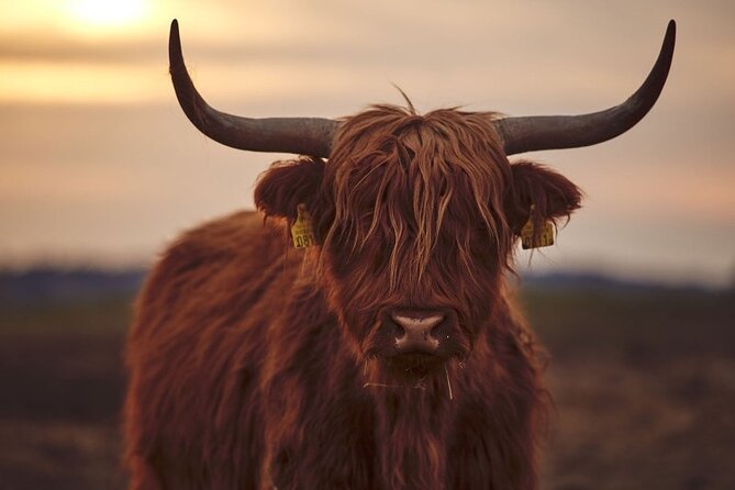 Luxury Private Tour of the Highlands & Loch Ness From Edinburgh - Discovering Loch Ness and Glencoe