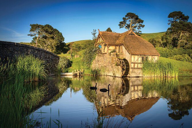 Luxury Private Transfers: Auckland Airport to City - Who Will Love This Service?
