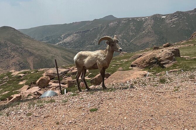 Luxury Private Van to Pikes Peak Garden of Gods - FAQ