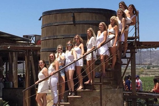 Luxury Private Wine Tasting Tour to Guadalupe Valley From San Diego - Wine Producers and Tastings