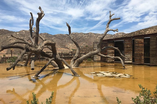 Luxury Private Wine Tasting Tour to Guadalupe Valley From San Diego - Transportation and Comfort