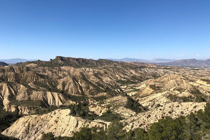 Luxury Rewaco Trike the Fun in the Sun Tour - (3 Hours, Min of 2 Passengers) - The Rewaco Trike Advantage