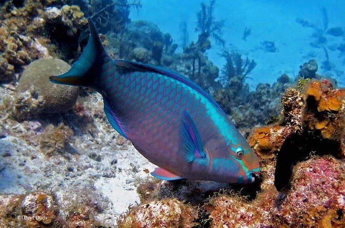 Luxury Sail & Snorkeling - Final Words