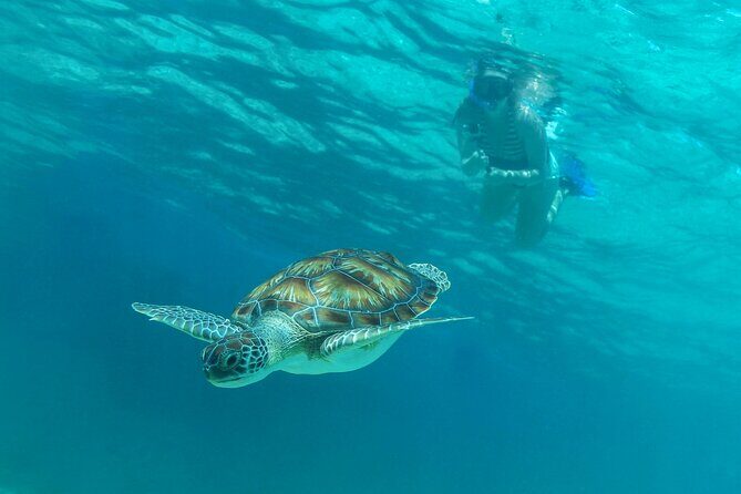 Luxury Sailing & Snorkeling Experience from Riviera Maya - The Experience in Context