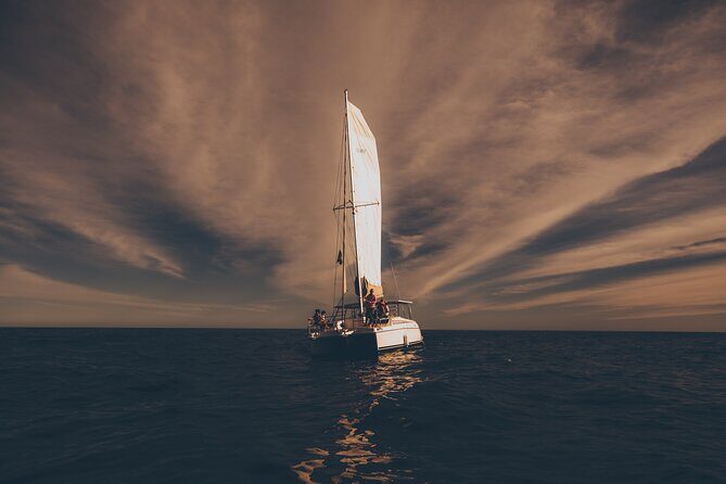 Luxury Sailing Whale Watch and The Arch (Dec 15 - Apr 15) - Deep Dive: The Itinerary and What Makes It Special