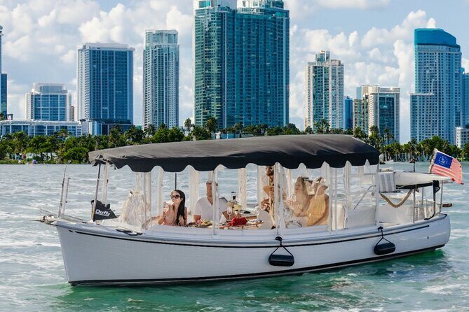 Luxury Shared Miami River E-Boat Cruise with Wine and Charcuterie - Key Points