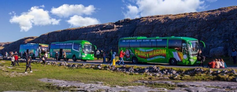 Luxury Shore Excursion From Waterford (Dunmore East) - Who Will Love This Tour?