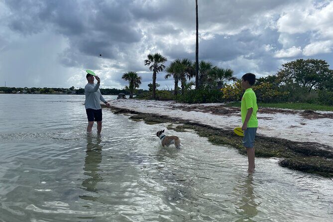 Luxury Single Kayak Tour To An Island Off Clearwater Beach! - The Experience in Detail