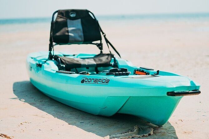 Luxury Single Kayak Tour To An Island Off Clearwater Beach! - Who Is This Tour Best For?