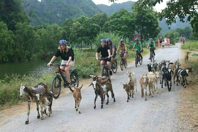 Luxury small Group Hoa Lu - Tam Coc - Mua Cave Max 6 - 8 pax/tour - Lunch at a Local Restaurant