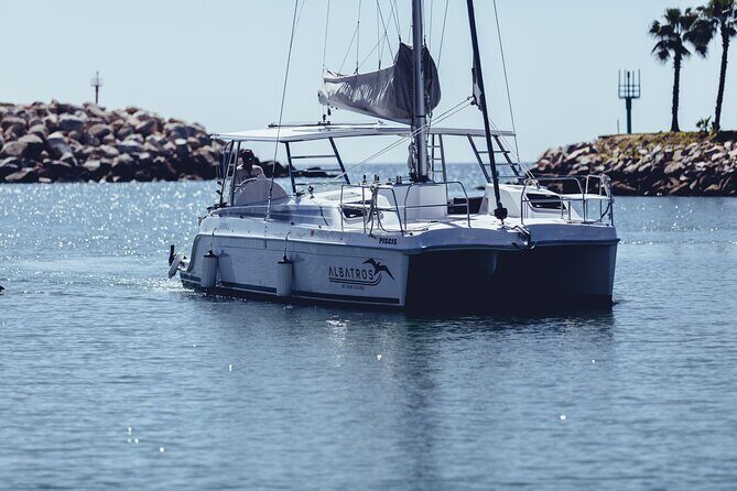 Luxury Snorkel Adventure in Cabo - Authentic Experiences and Customer Feedback