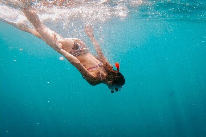 Luxury Snorkeling Tour in Cabo San Lucas - The Experience: What Travelers Are Saying