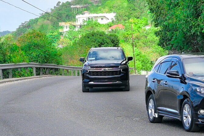 Luxury Suburban Private Airport Transfer with Chauffeur - The Vehicle and Service Quality