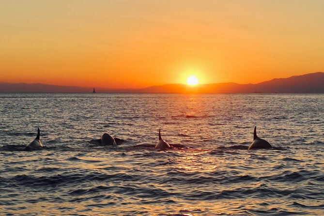 Luxury Sunset Cruise with Aperitif - The Experience from Travelers’ Perspectives