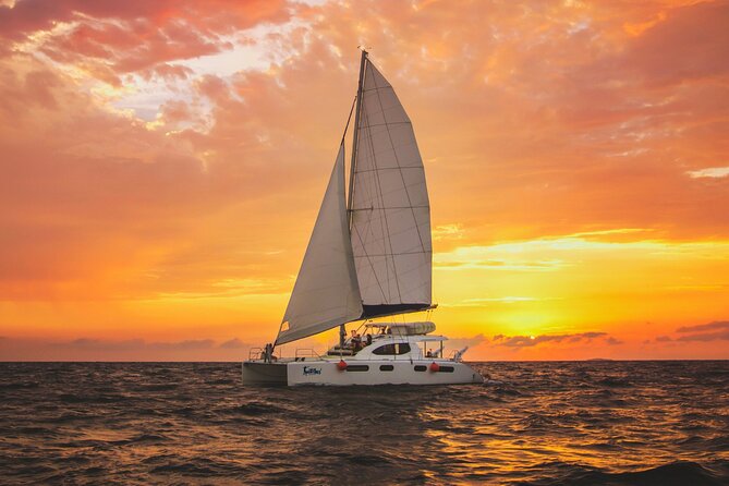 Luxury Sunset Sailing Cruise in Cancun With Light Dinner and Open Bar - Transportation and Pickup