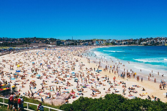 Luxury Sydney Tour - The Experience: What to Expect from the Luxury Sydney Tour