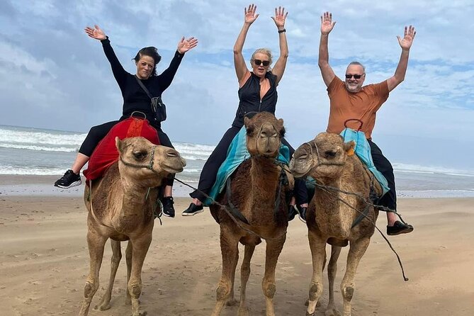 Luxury Tangier Private Day Tour From Malaga All Inclusive - Itinerary and Experiences