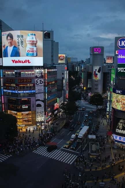 Luxury Tokyo City Attractive Full Day Private Tour - Key Points
