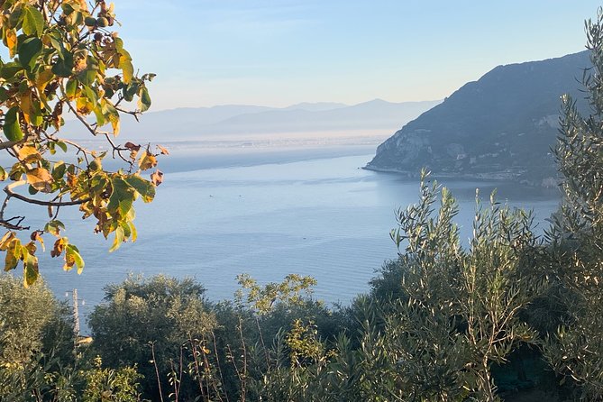 Luxury Tour Amalfi Coast by Van Mercedes - FAQ