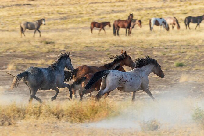 Luxury tour for up to 7 to Antelope Canyon X and Horseshoe Bend - The Itinerary in Detail