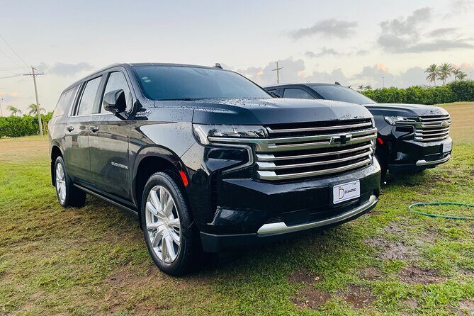 Luxury Transfer between Punta Cana Airport and Uvero alto Hotels - Who Is This Tour Best For?