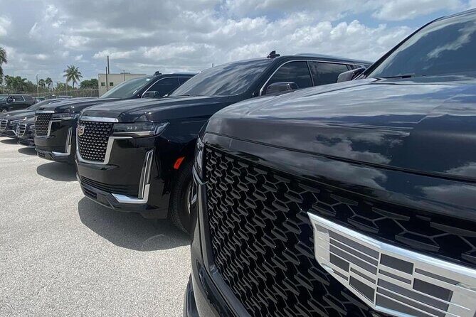 Luxury Transfer From Port of Miami to Miami and Fort Lauderdale - Key Points