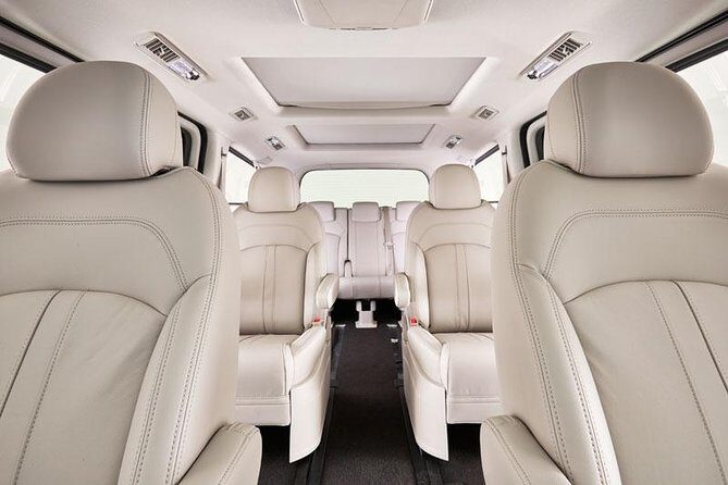 Luxury Van, Private Transfer, Port Douglas - Cairns - Who Should Consider This Service?