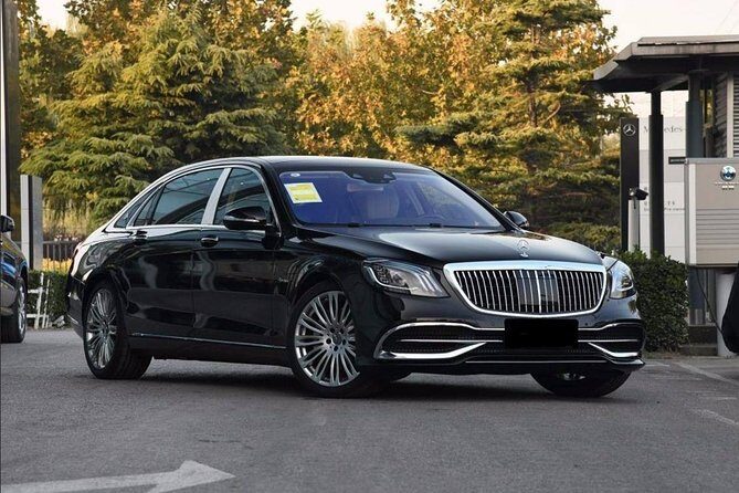 Luxury Vehicle with Private Guide to Mutianyu Great Wall and Summer Palace - What’s Included and What to Consider
