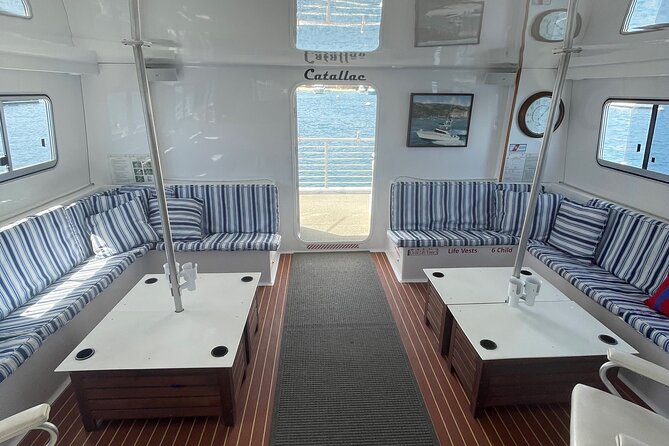 Luxury Whale Watching: Fewer People, Extra Speed, Expert Staff - Convenient Meeting Point and Parking Options