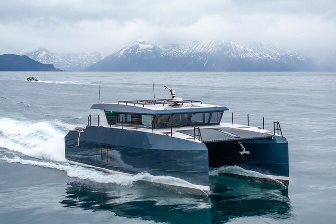 Luxury Whale Watching From Tromso - Small group and local guide - Who Should Consider This Tour?