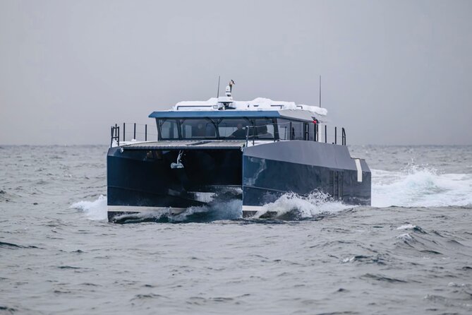 Luxury Whale Watching From Tromso - Small group and local guide - Final Thoughts