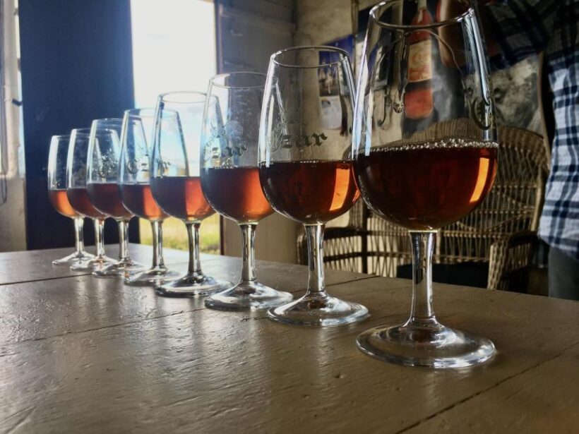 Luxury Wine Tasting at the Czar Pico Winery - The Sum Up: Who Will Appreciate This Experience?