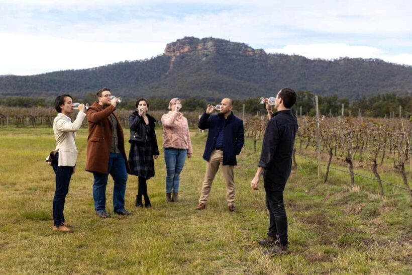 Luxury Wine Tasting & Fine Dining Trip From Sydney - Final Thoughts