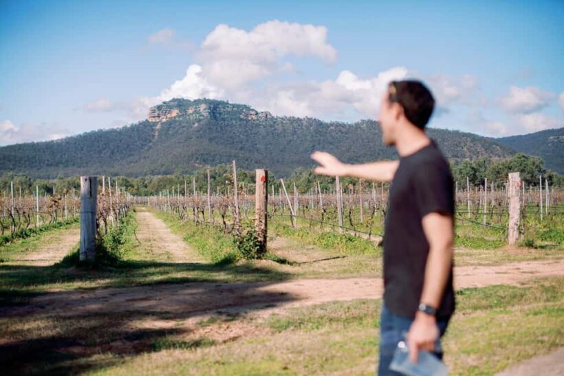 Luxury Wine Tasting & Fine Dining Trip From Sydney - FAQ