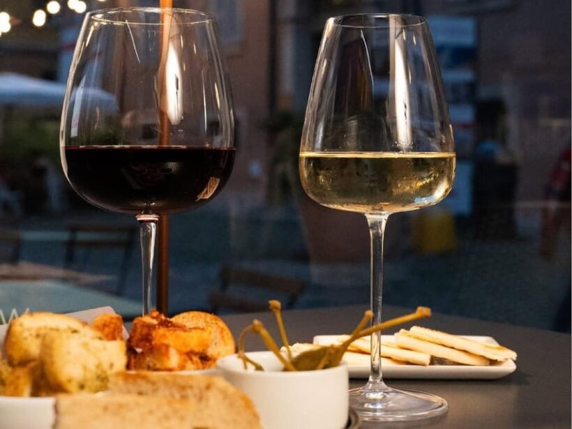 Luxury Wine Tasting in Modena City Center - A Deep Dive Into the Experience
